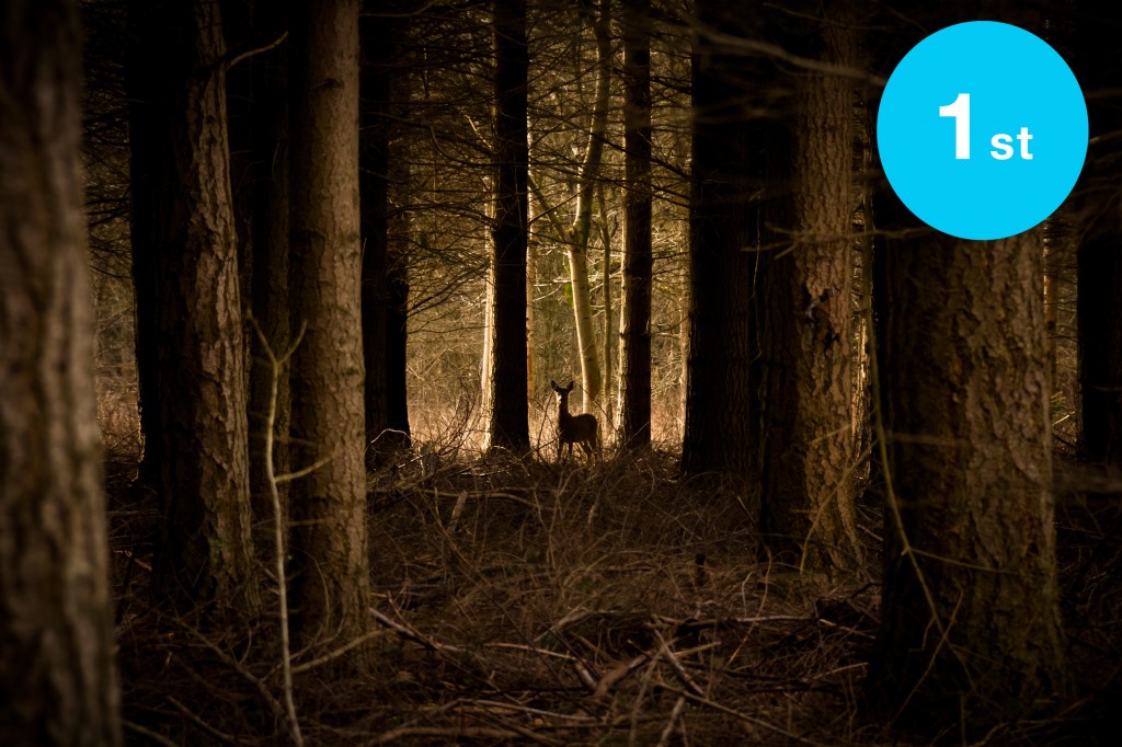 Oxfordshire Photography Competition