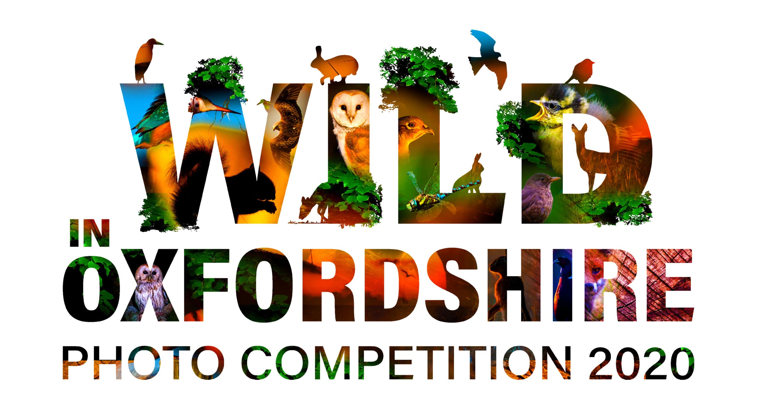 Wild in Oxfordshire Photo Competition 2020 - Oxford Video Company Studio8